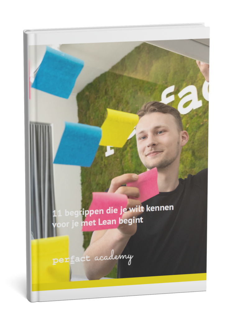 Download Lean Six Sigma e-Book - Perfact Group